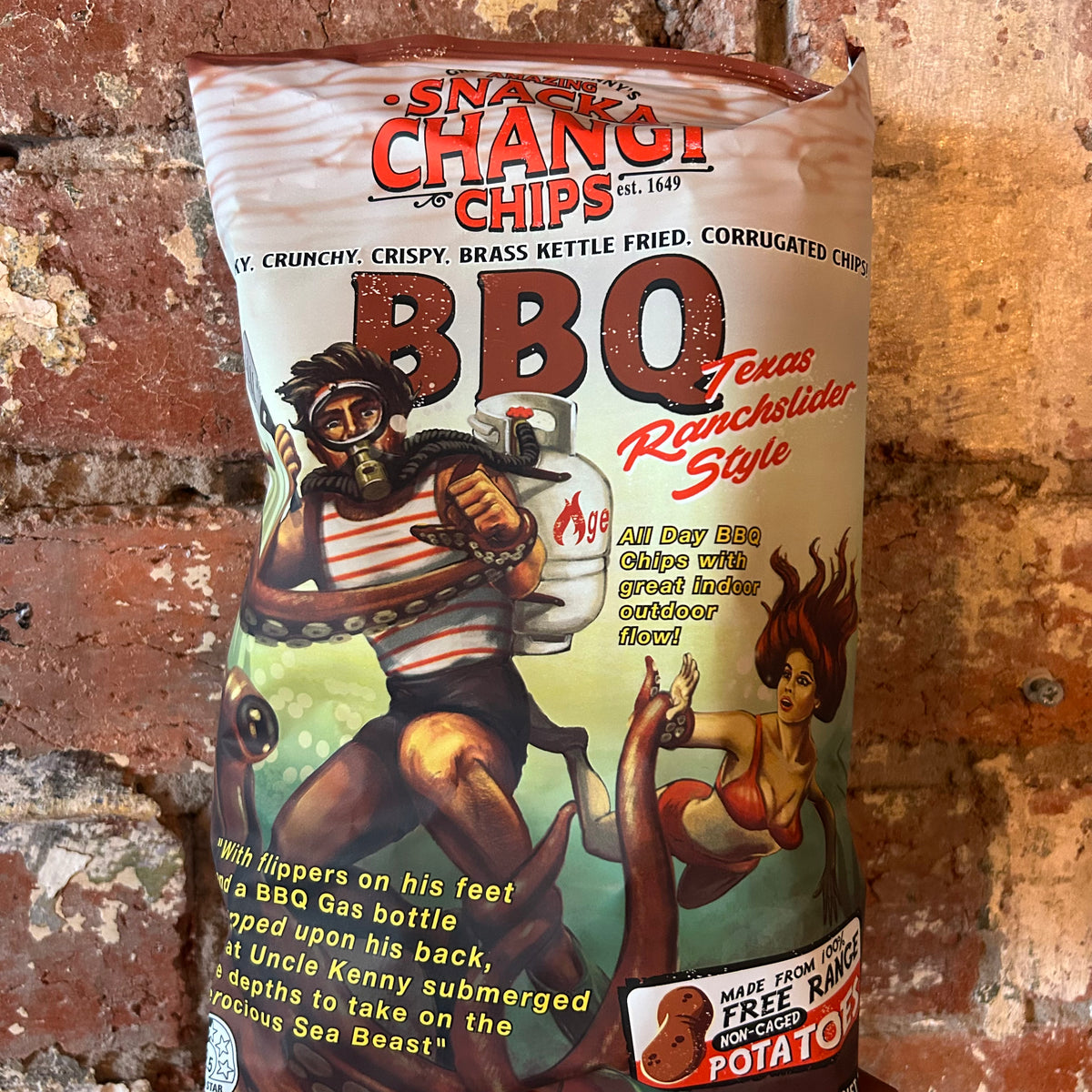 SnackaChangi Chips BBQ Texas Ranchslider Style – Otter's Promise